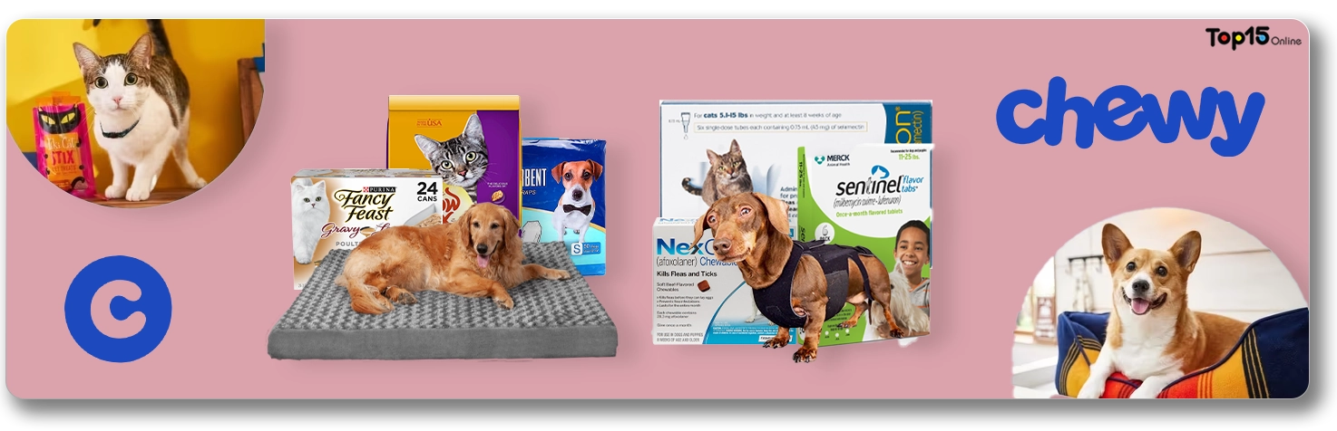 The Chewy Review: Pet-Friendly Platform? | Top15Online.com